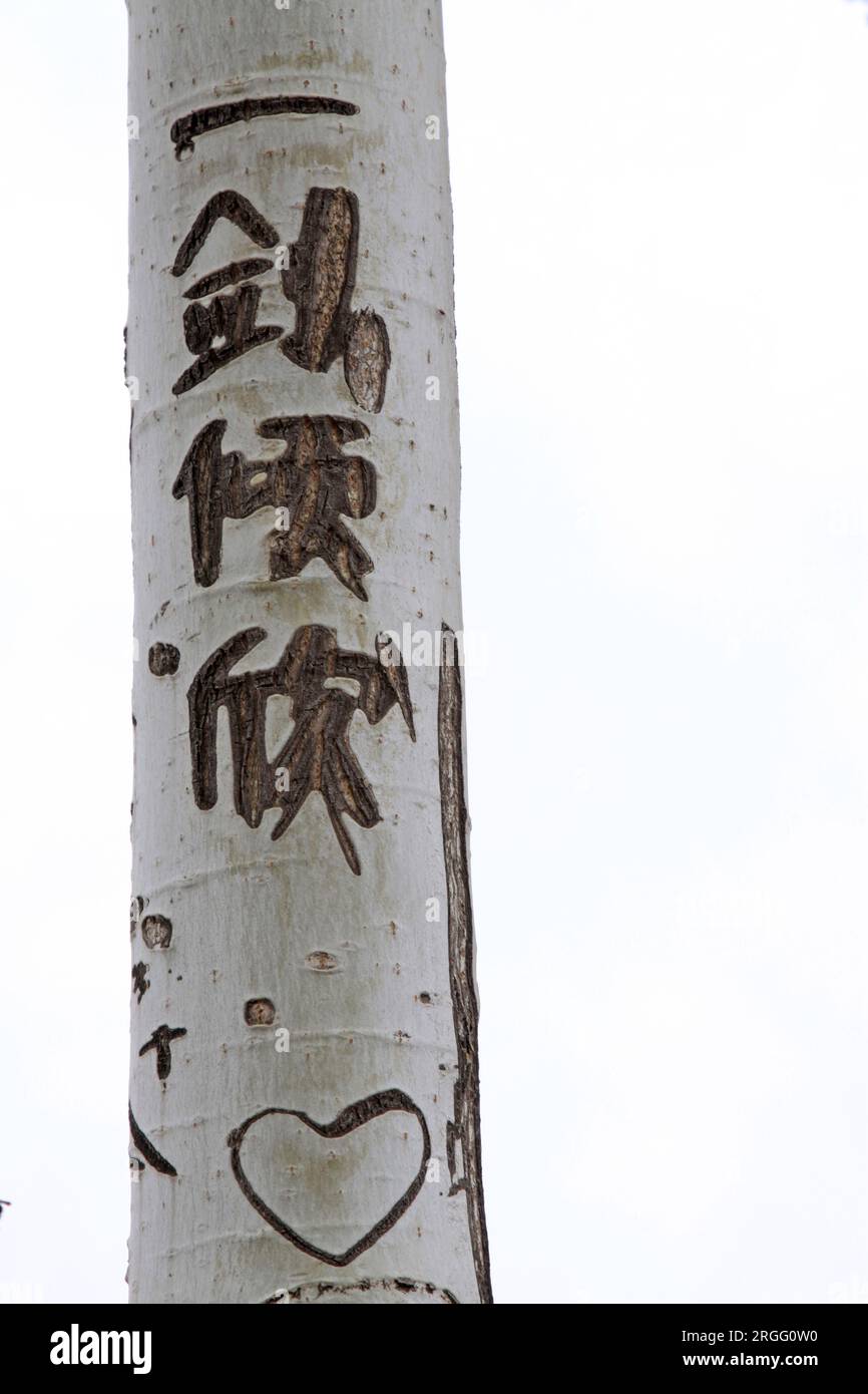 Nick skin hi-res stock photography and images - Alamy