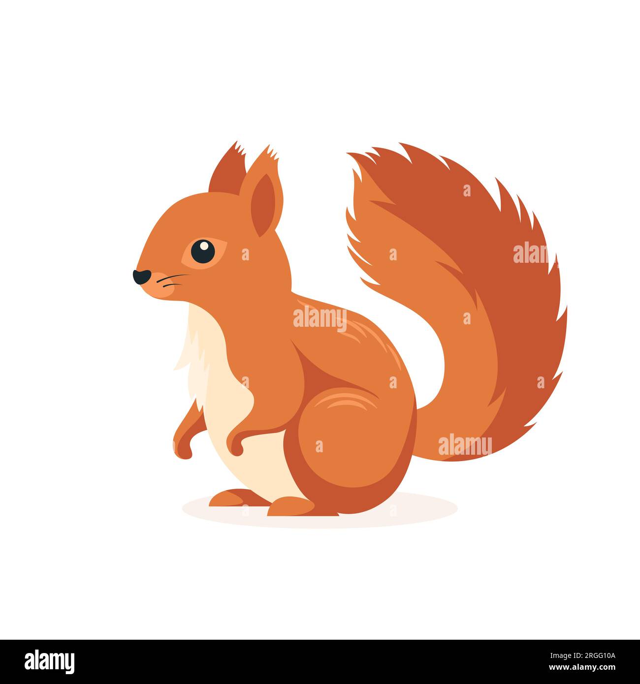 Flat Vector Cute Squirrel. Little Squirrel Icon. Adorable Cartoon Squirrel Character Isolated on ...