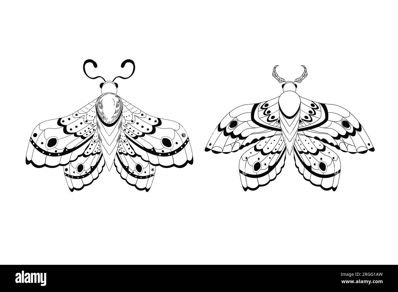 set Magic mystic moth in doodle style, line art isolated, boho ...