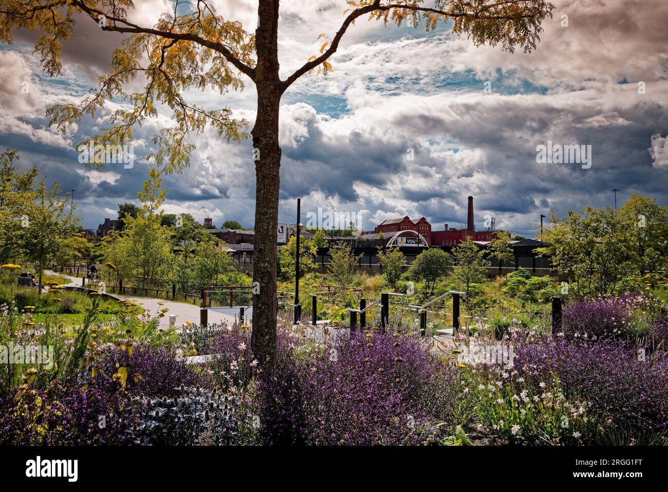 Mayfield Park, Manchester Stock Photo - Alamy