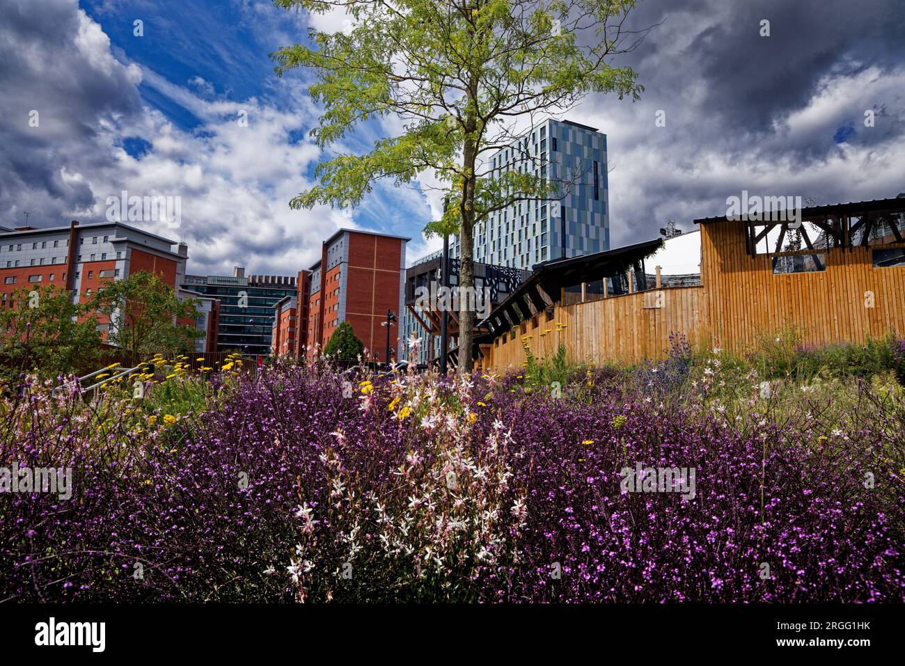 Mayfield Park, Manchester Stock Photo - Alamy