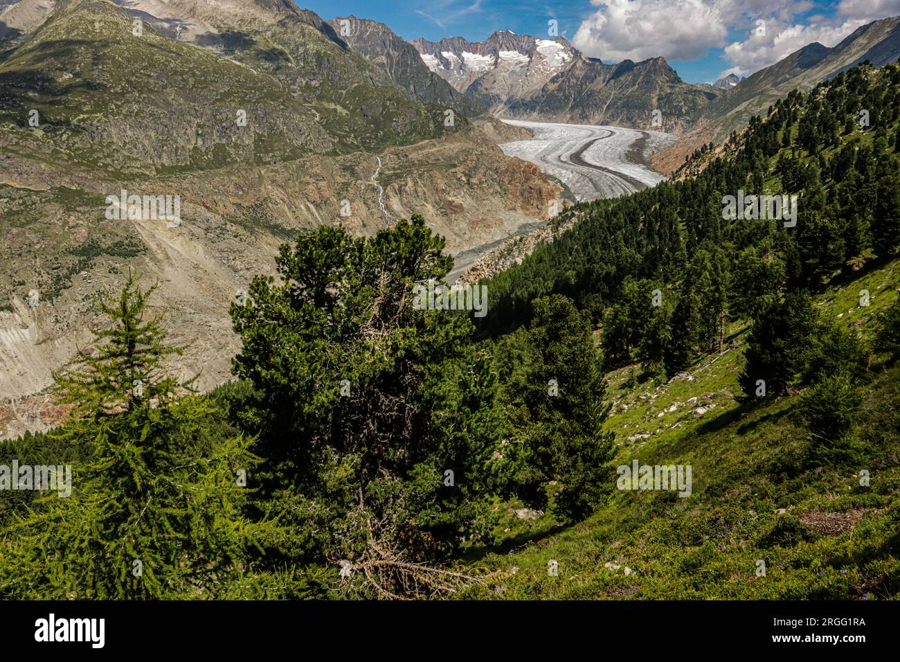 Foret daletsch hi-res stock photography and images - Alamy