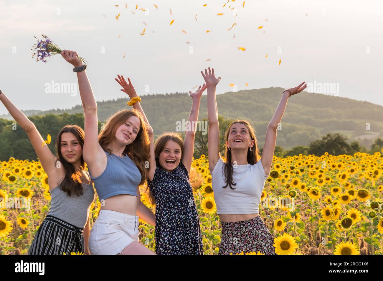 Teenage girls having fun in a sunflower field on a late summer ...