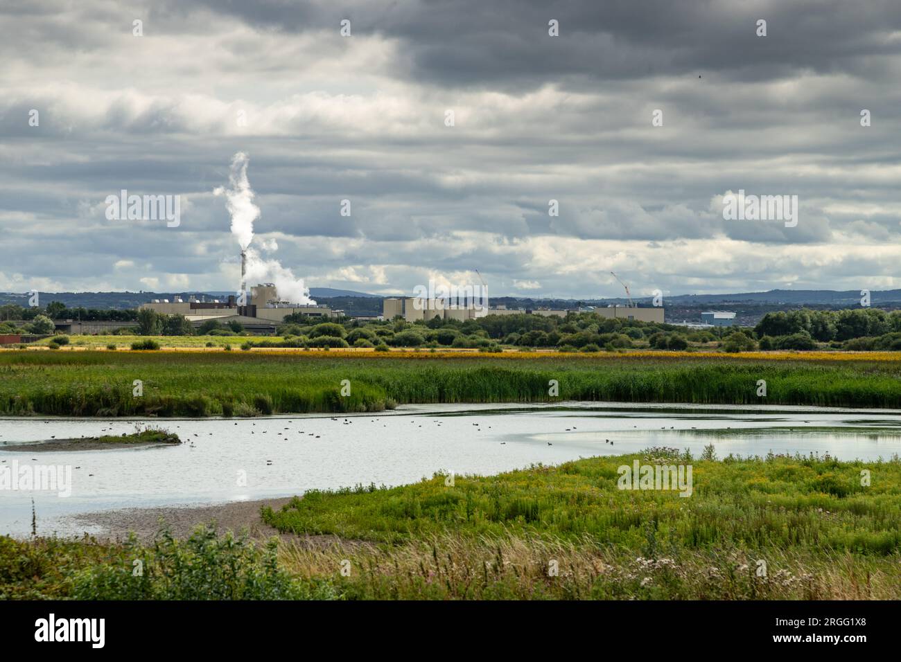 Burton Mere Wetlands and factory, Wirral, England Stock Photo - Alamy