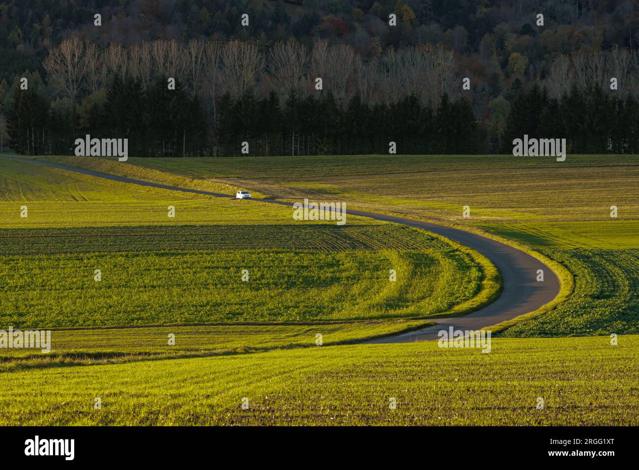 Pied du jura hi-res stock photography and images - Alamy