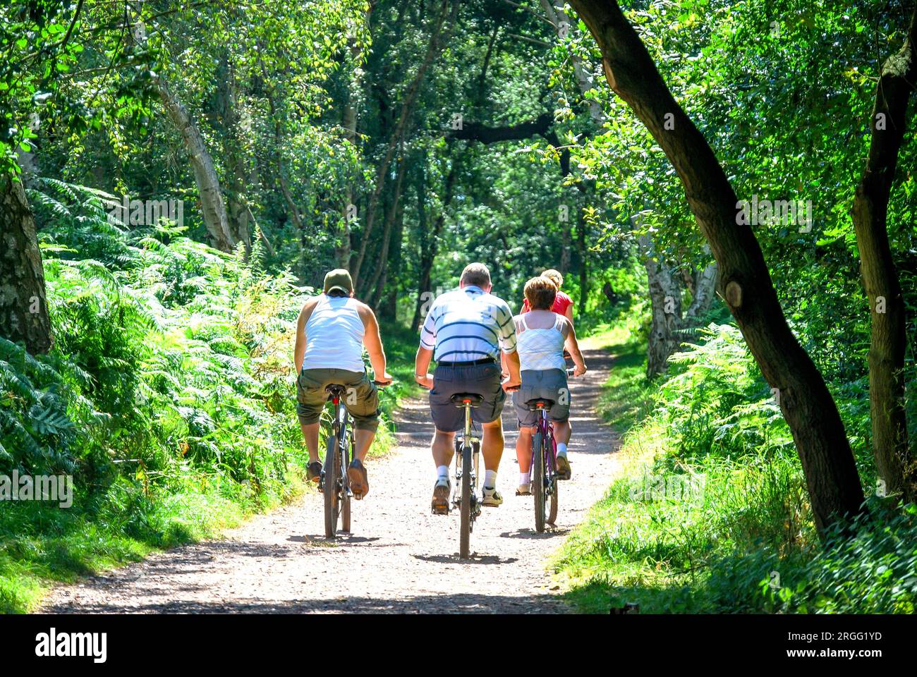 Group on bicycle ride, Sherwood Forest, Nottinghamshire, England ...