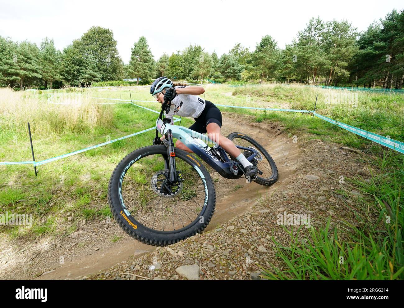 Daubermann hi-res stock photography and images - Alamy