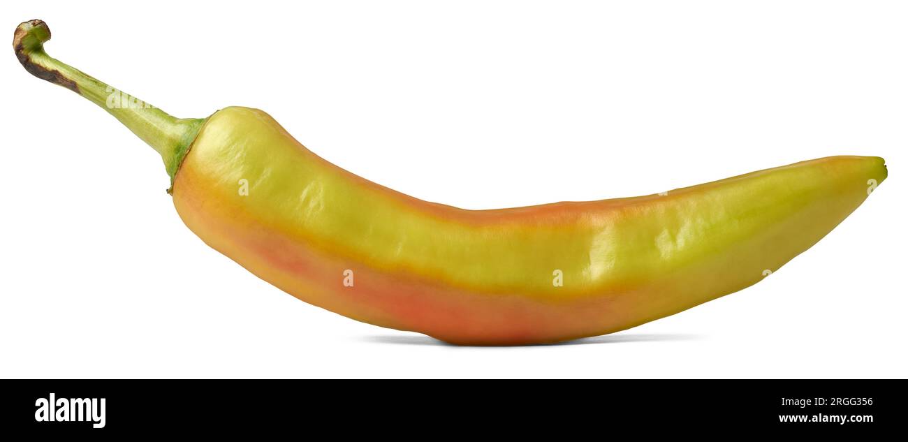 close-up of banana pepper isolated on white background, capsicum annuum ...