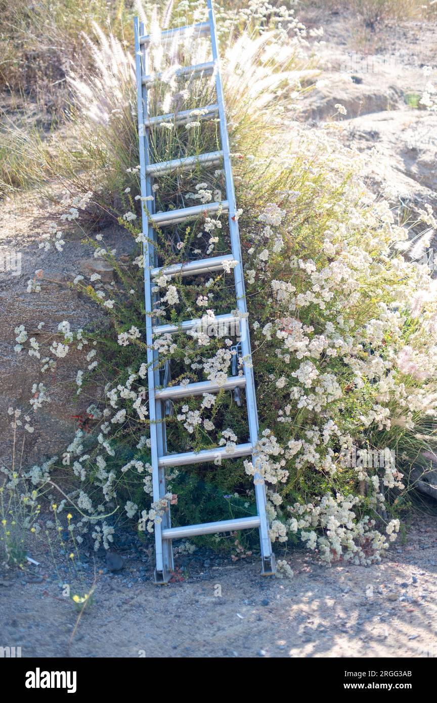 Ladder farming hi-res stock photography and images - Alamy