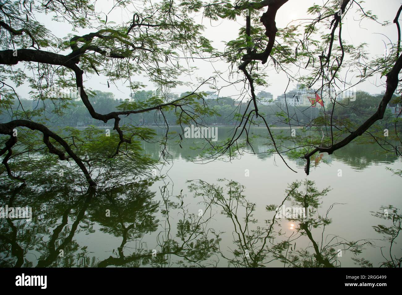 The view of tree branches hanging over the calm lake during the sunset ...