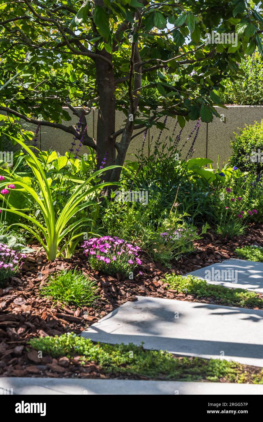 Path with large stone slabs through a beautifully planted garden ...