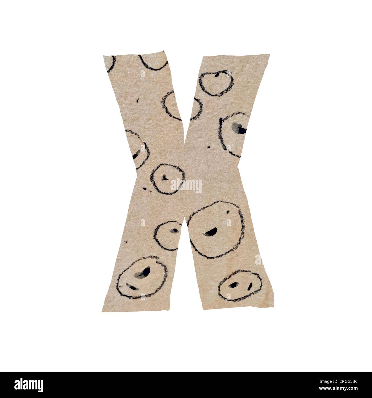 Uppercase letter X cut out paper alphabet Stock Photo - Alamy