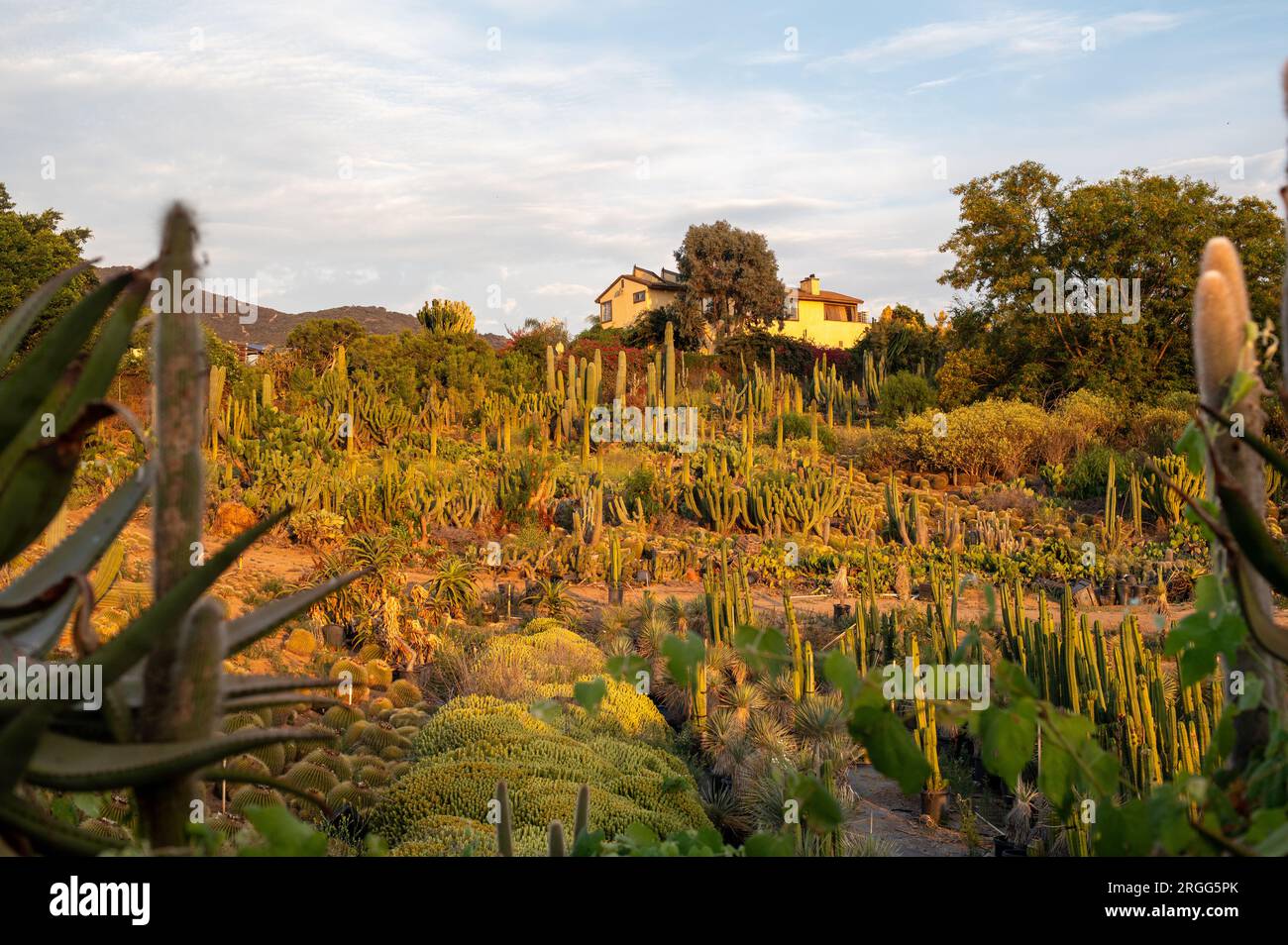 California mountain house hi-res stock photography and images - Alamy