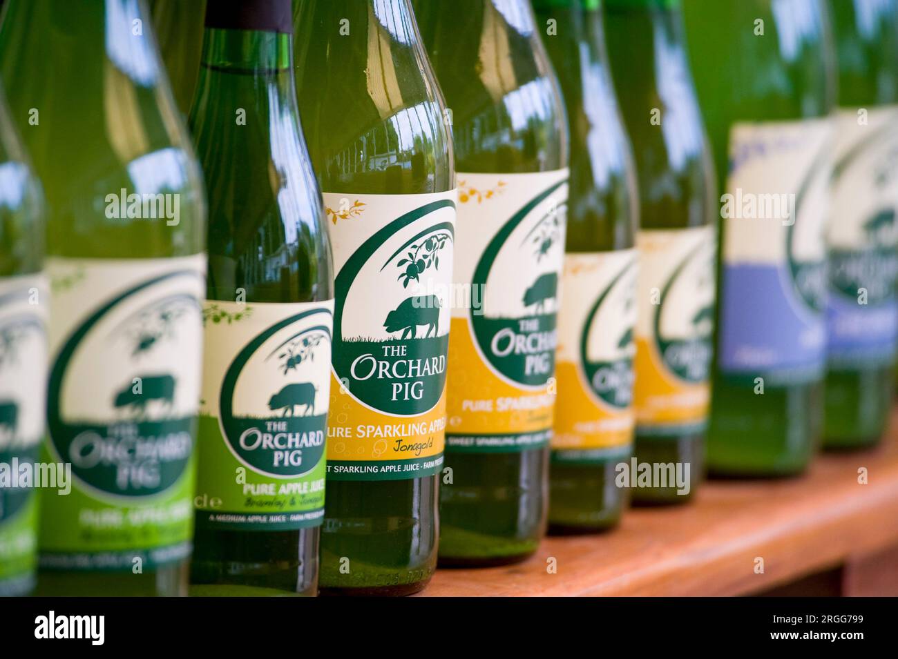 Harvest time at Orchard Pig in Somerset Stock Photo - Alamy