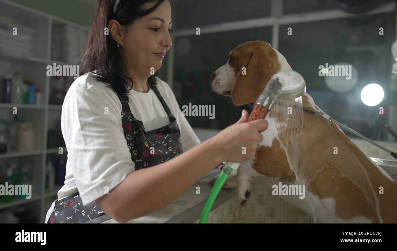 Female pet shop employee hi-res stock photography and images - Alamy