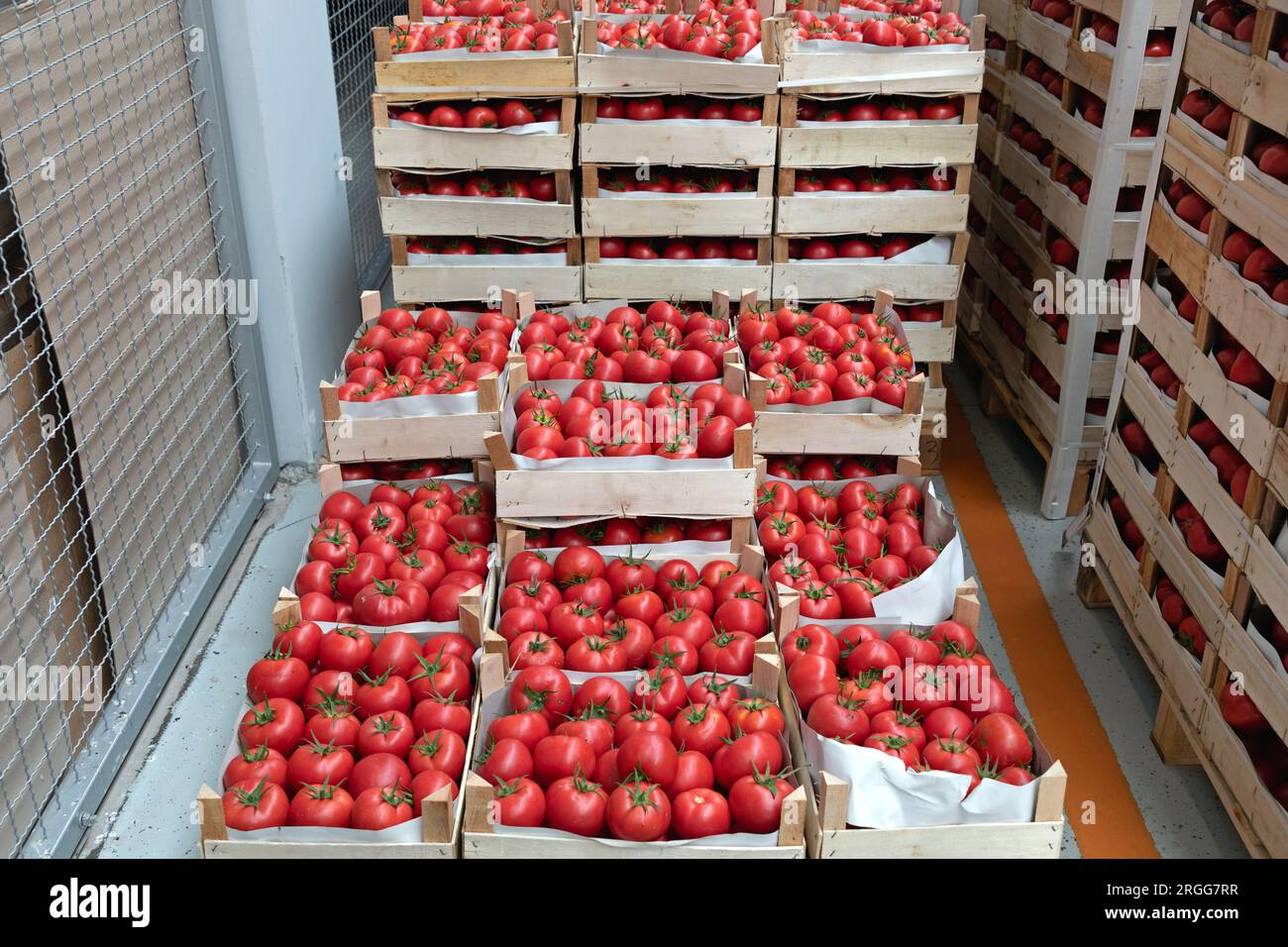 Vegetable storage warehouse hi-res stock photography and images - Alamy