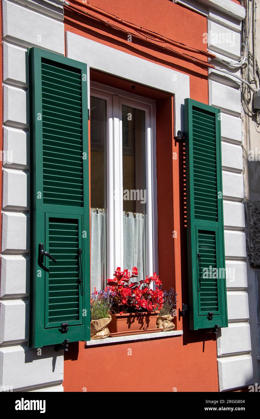 An Italian window with pelargonium-filled window boxes in the medieval ...