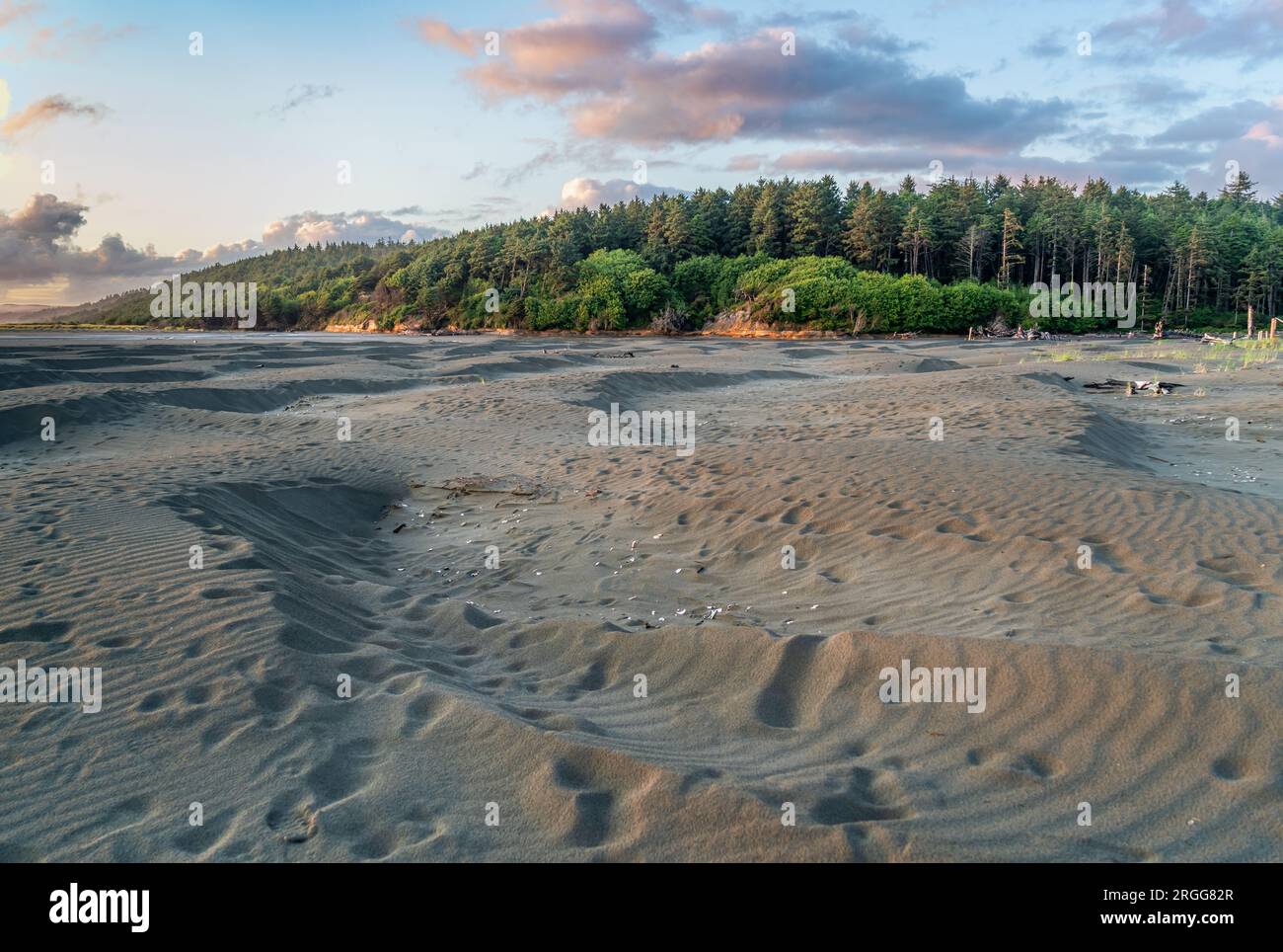 Moclips washington state hi-res stock photography and images - Alamy