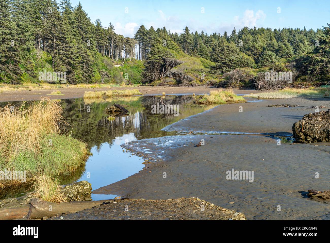 A landscape photo of the Moclips River in Washington State Stock Photo ...