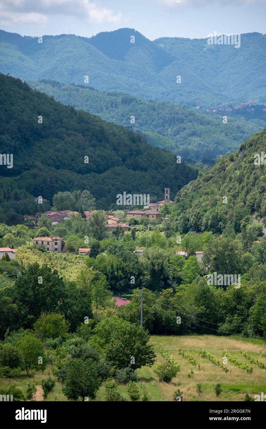 Surrounded by steep wooded mountain slopes and on the valley floor of ...