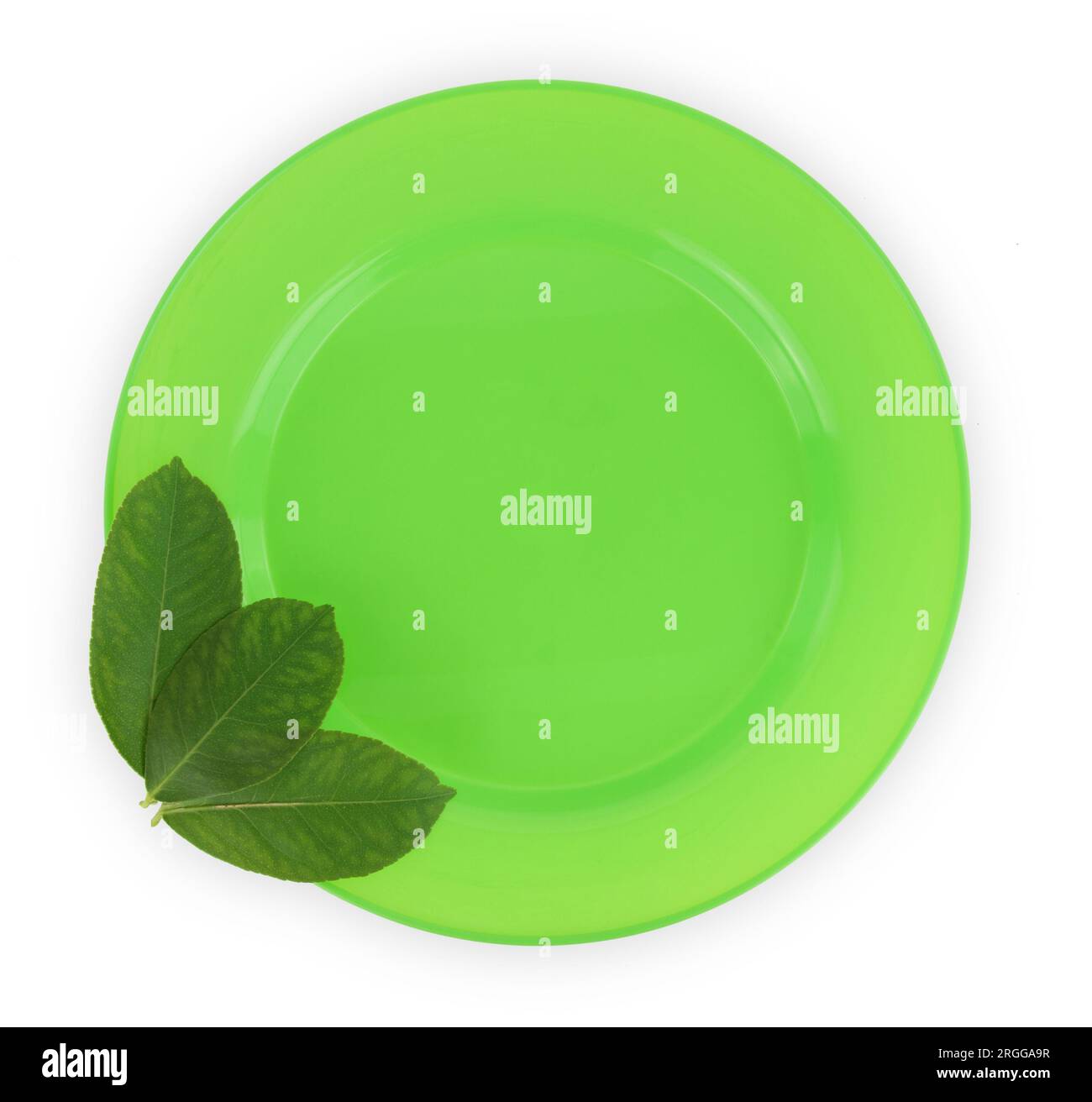 Green empty plate and fresh leaves isolated on white transparent ...