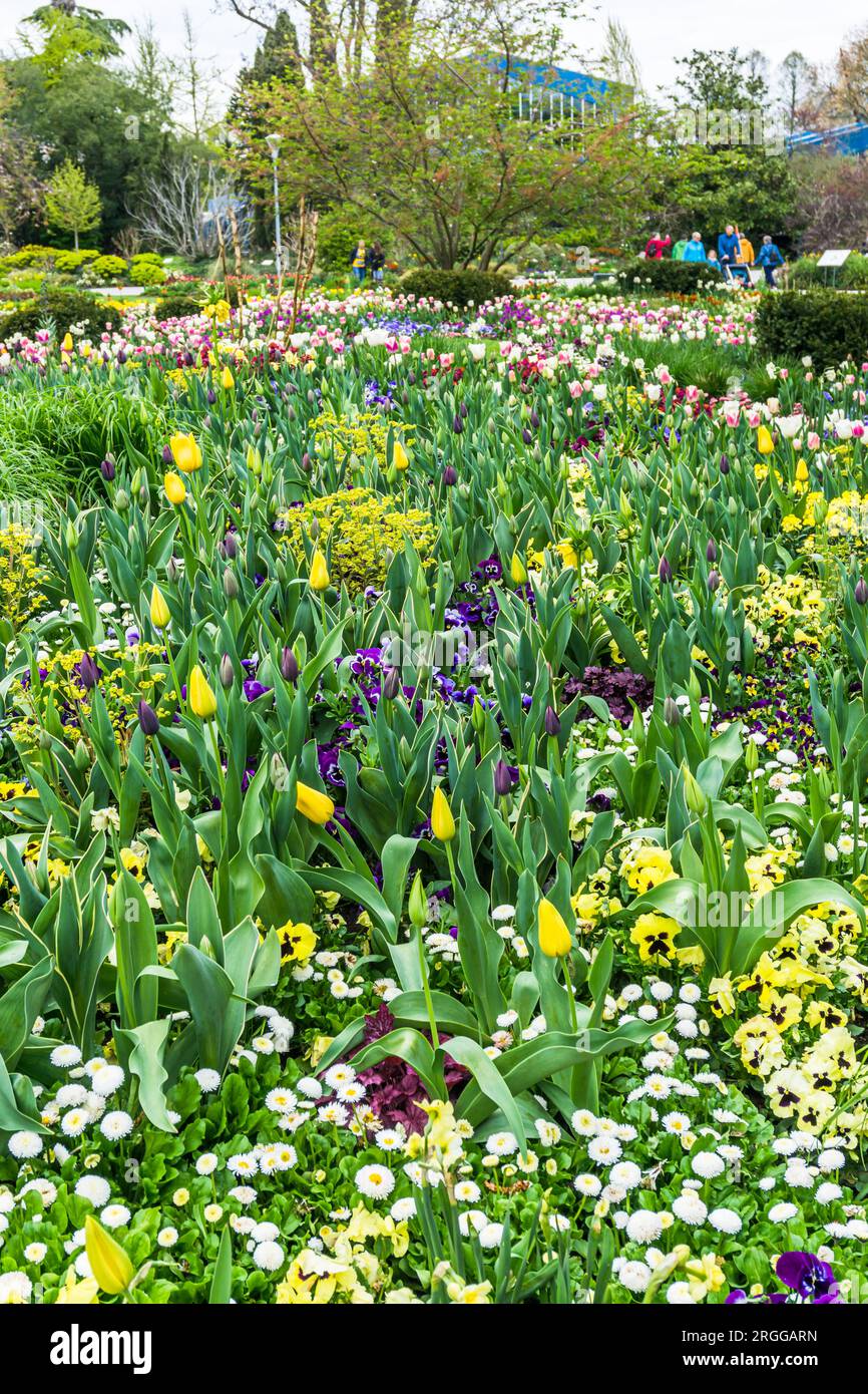 Landscaping flowers flower bed hi-res stock photography and images - Alamy