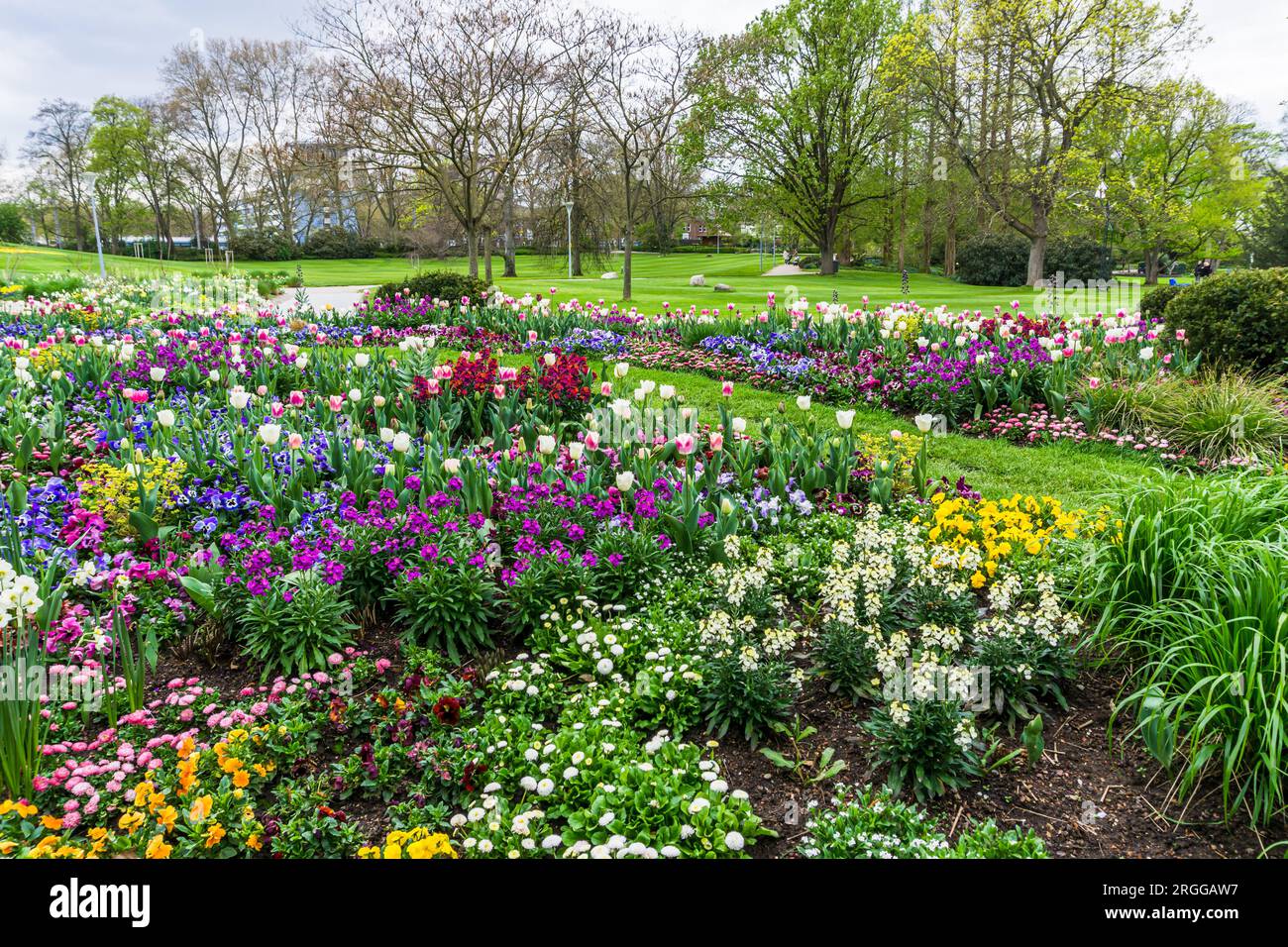 Bed of colorful spring flowers Stock Photo - Alamy