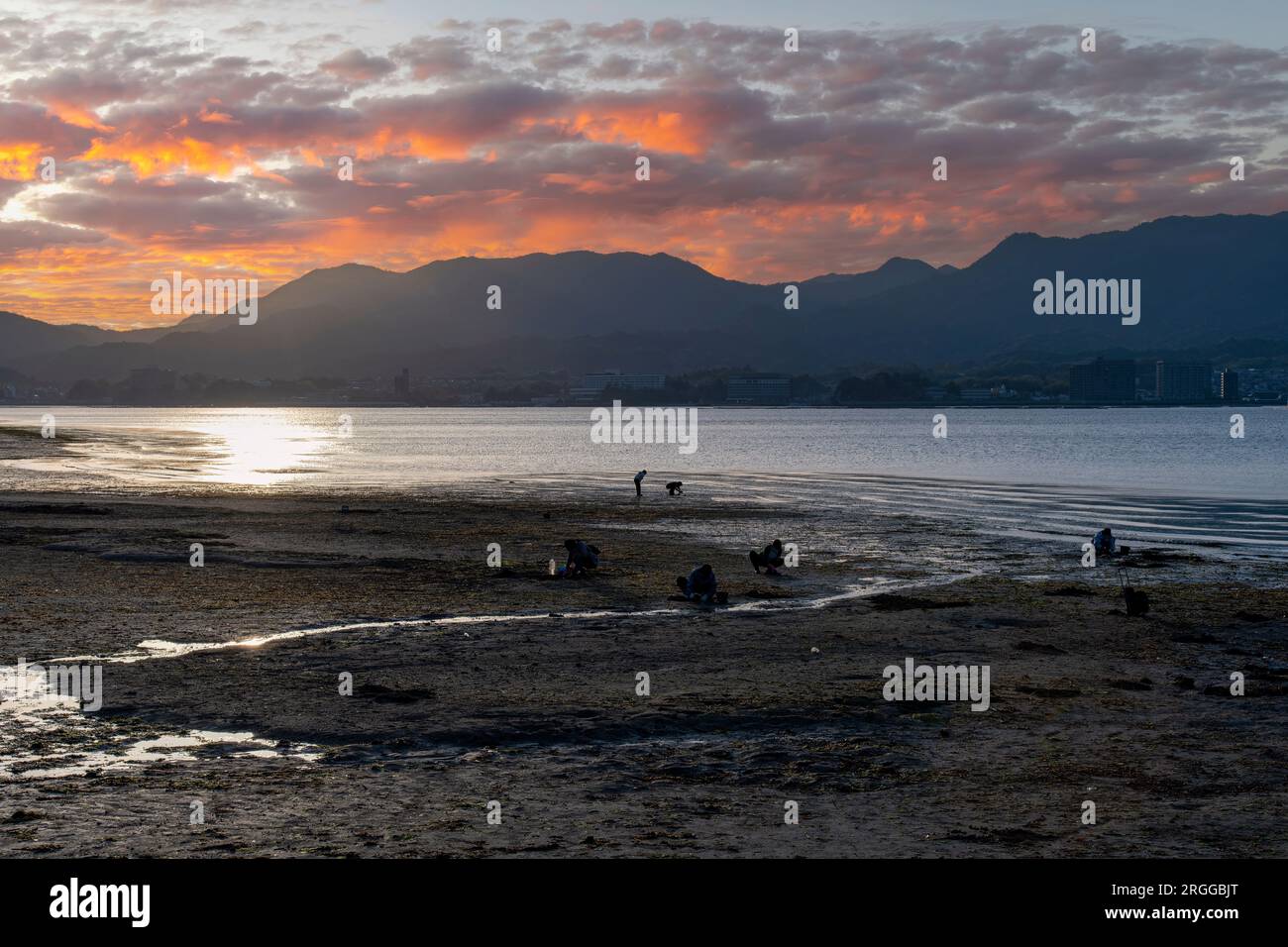 Panoramic view over shoreline of Miyajima (Itsukushima) Island, Japan ...
