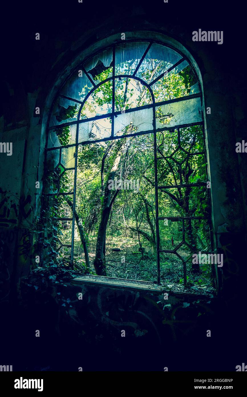 broken window in an abandoned and vandalised building Stock Photo - Alamy
