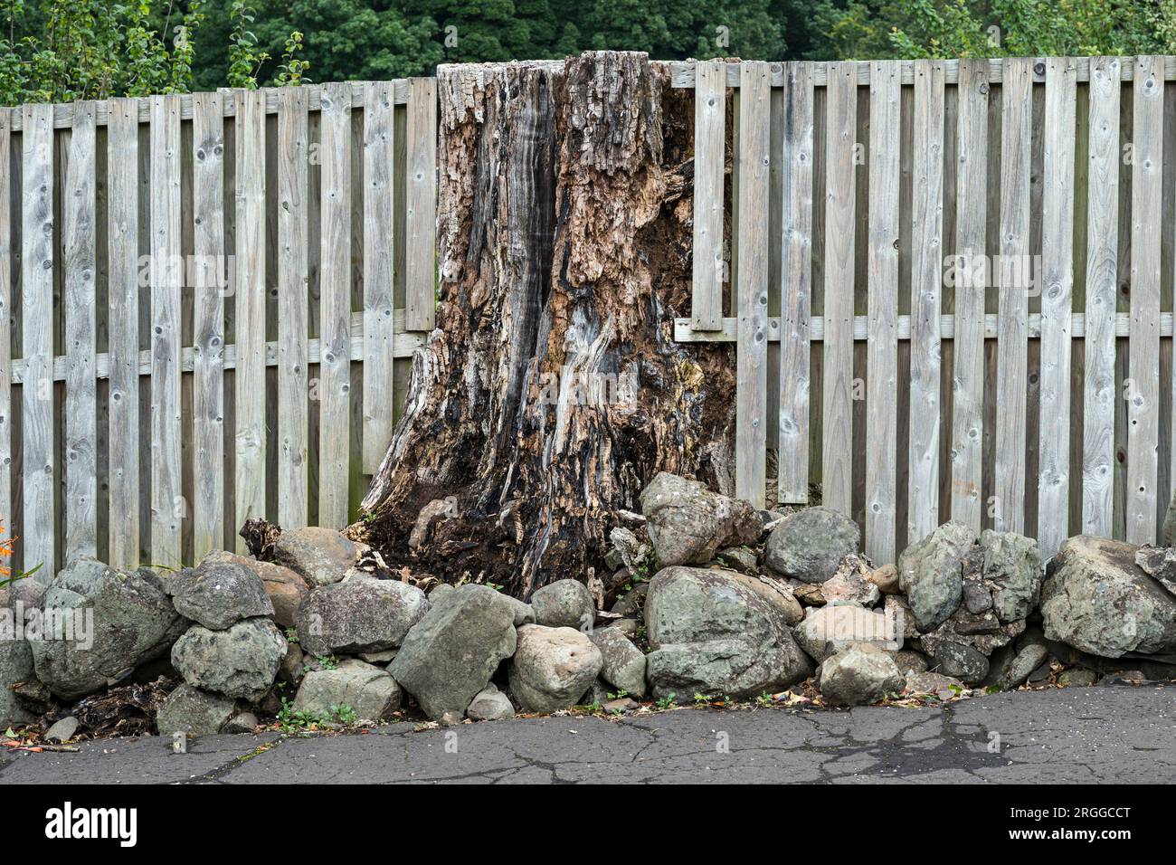 Fit in a box hi-res stock photography and images - Alamy