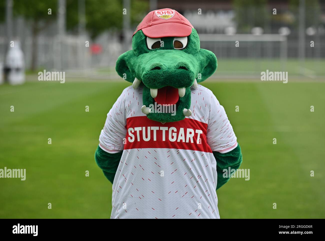 Stuttgart, Germany. 09th Aug, 2023. Fußball 1. Bundesliga: Photo ...