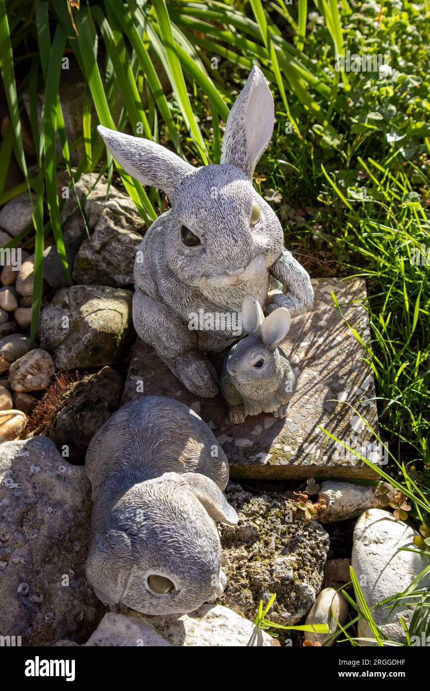 A family of rabbits in the home garden Stock Photo - Alamy