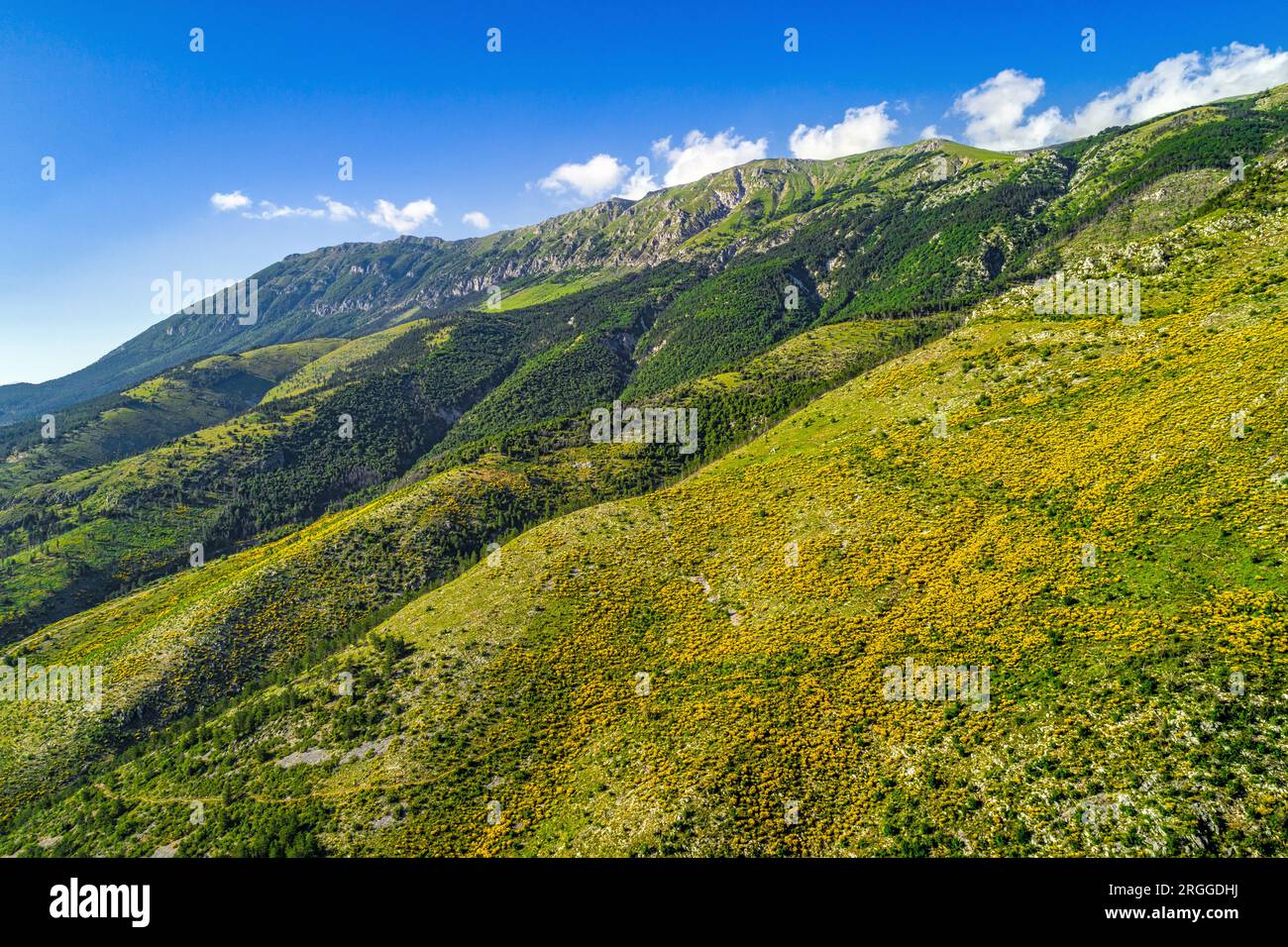 Aerial view of the slopes of Monte Morrone colored in green and yellow ...
