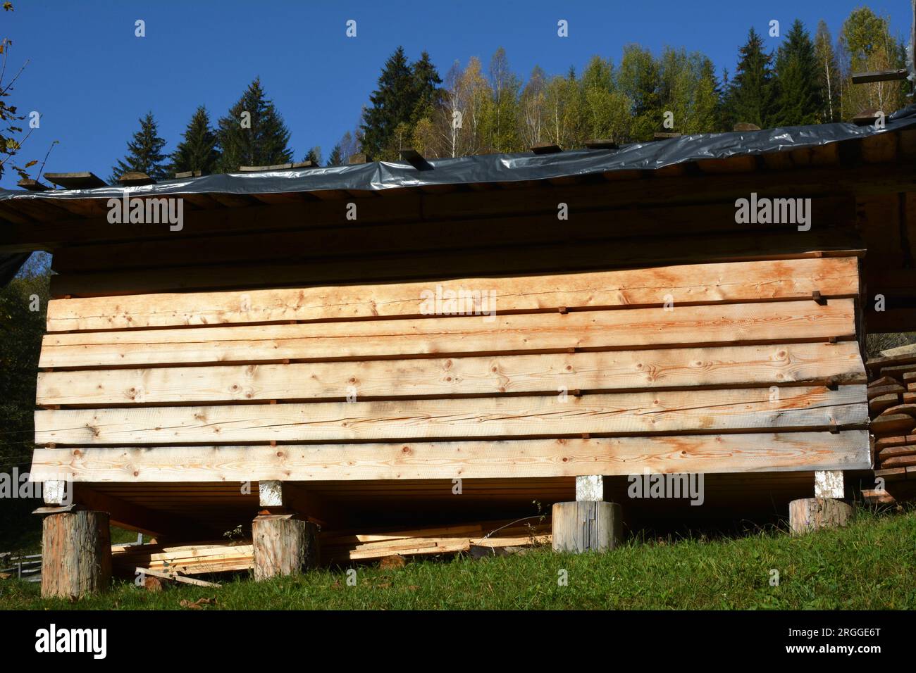 Drying timber hi-res stock photography and images - Alamy