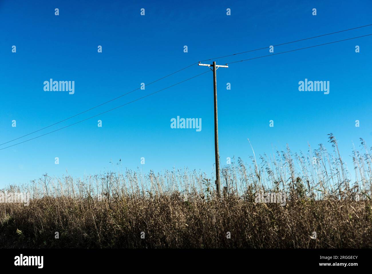 Rural power line and telephone pole Stock Photo - Alamy