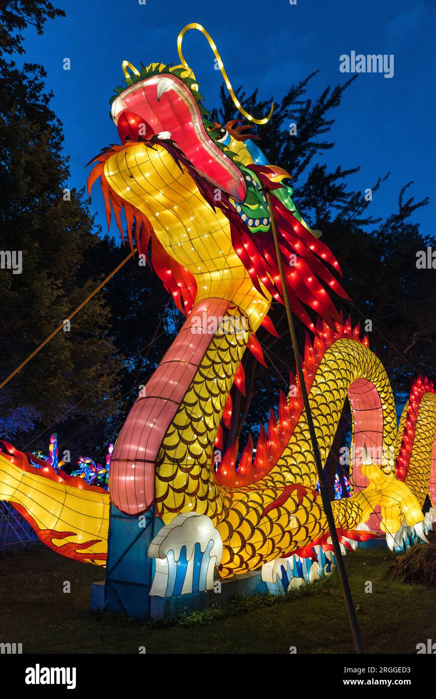 Chinese lantern festival dragon hi-res stock photography and images - Alamy