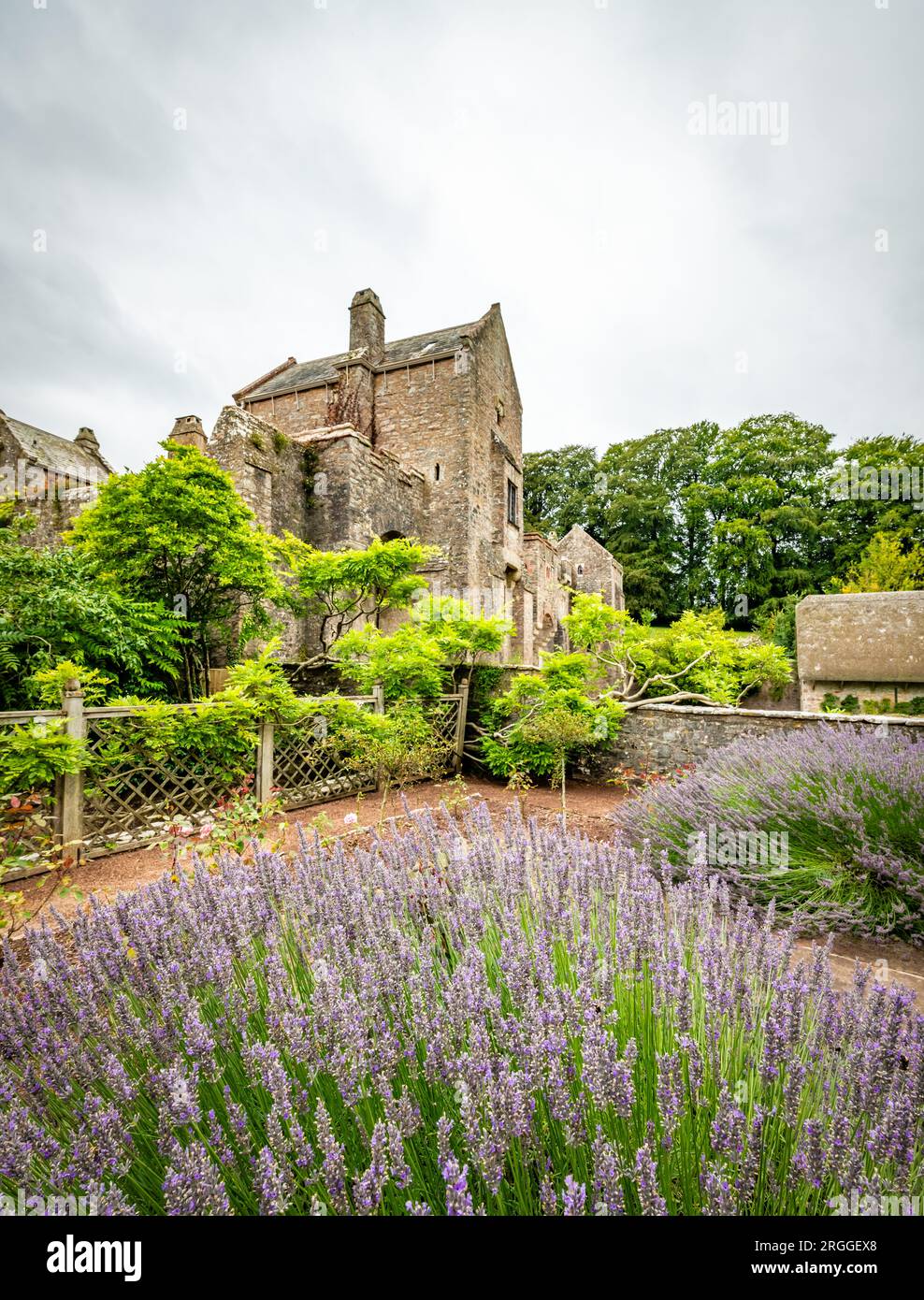 August 2023. Attractive garden at Compton Castle in Devon Stock Photo ...