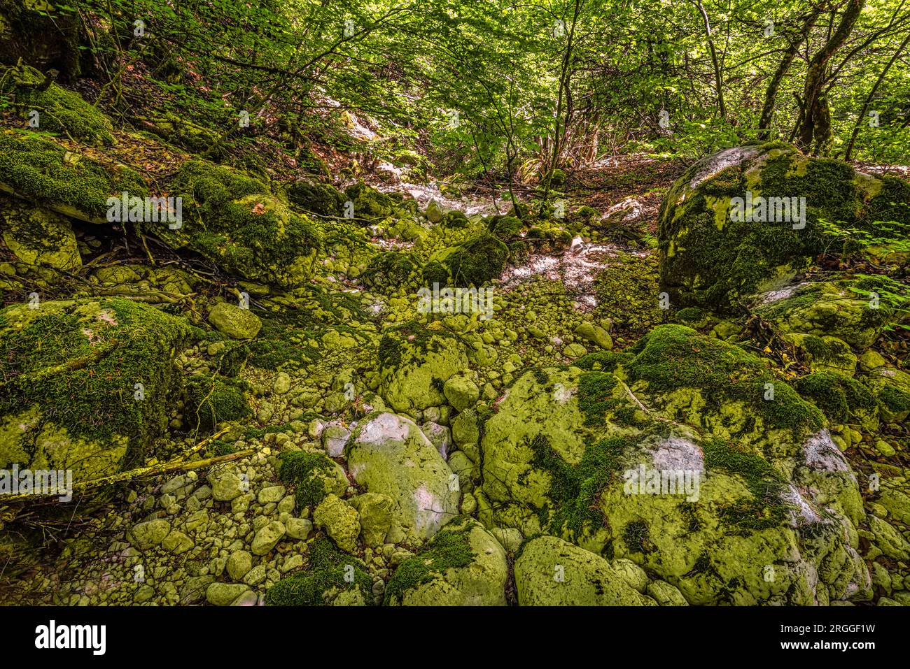 The bed of a mountain stream now dry due to drought. Abruzzo, National ...