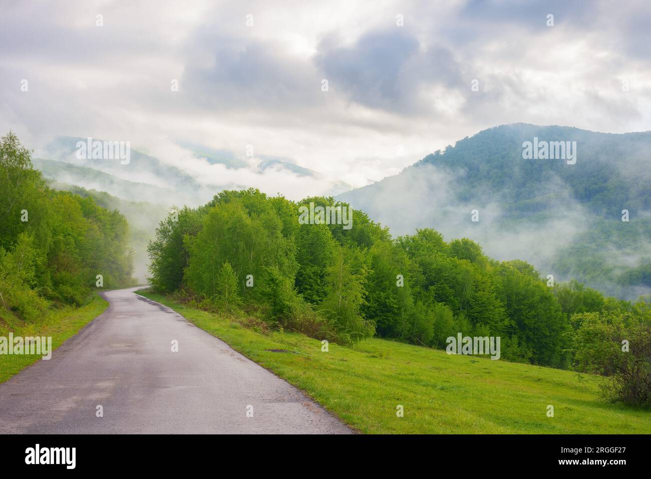 road winds through the foggy countryside, revealing a breathtaking landscape of green hills and ...