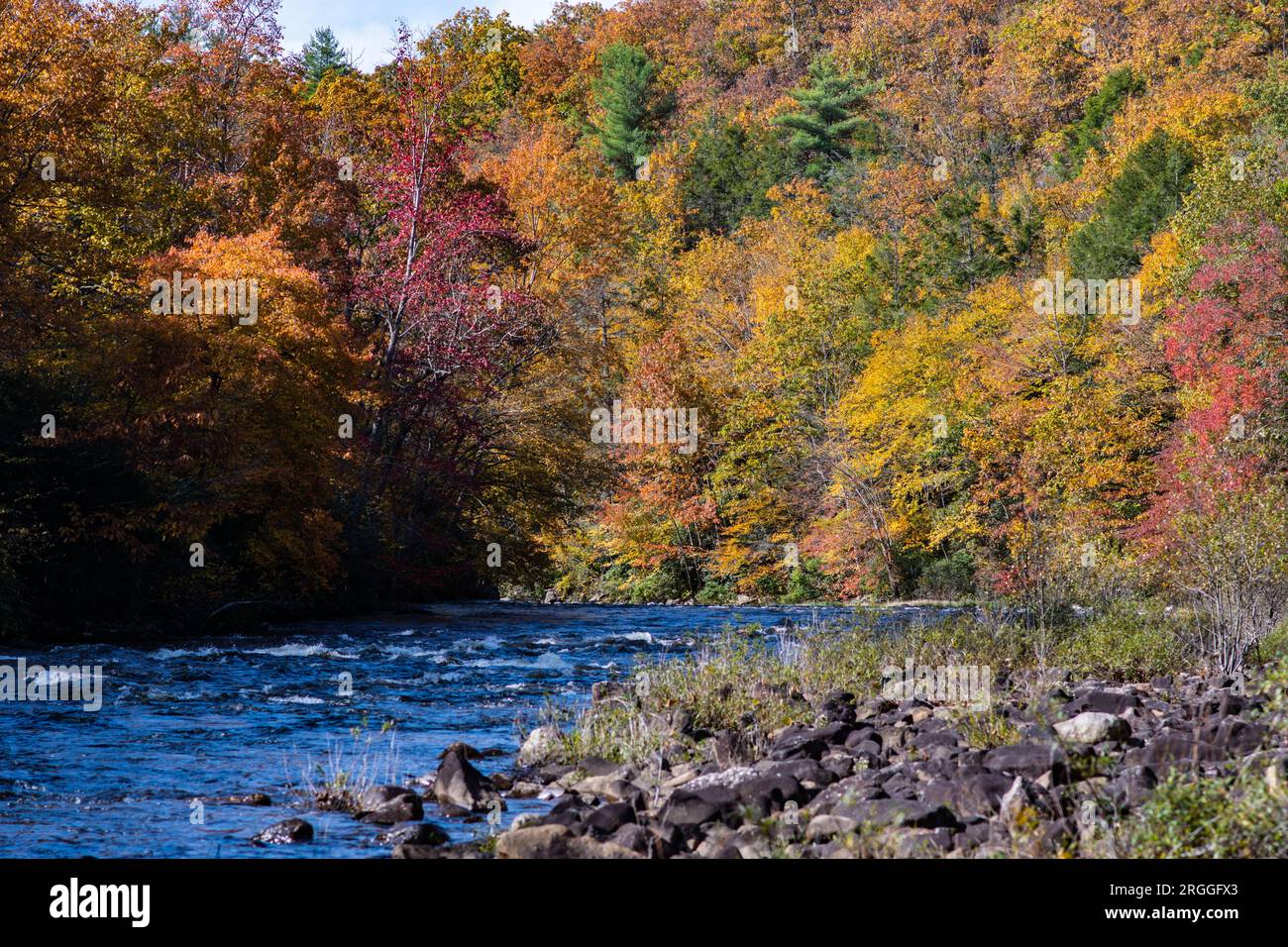 Fall autumn landscape backgrounds copy space Stock Photo - Alamy
