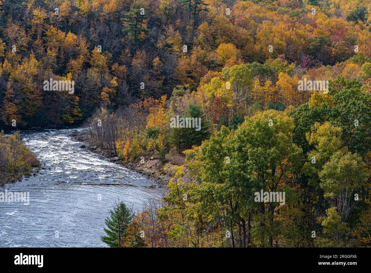 Fall autumn landscape backgrounds copy space Stock Photo - Alamy