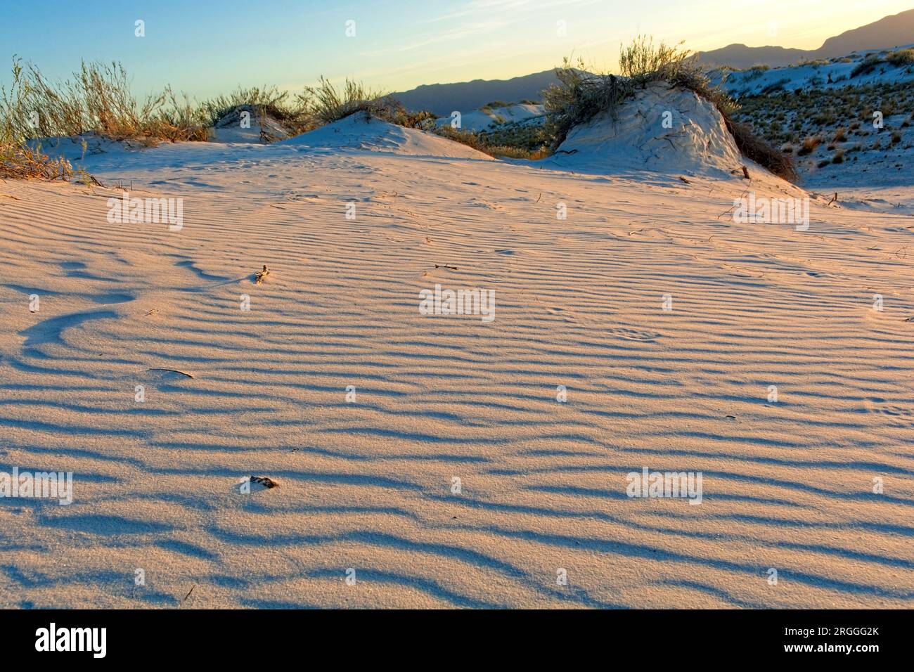 Ripples in the wind swept gypsum sand dunes in White Sands National ...