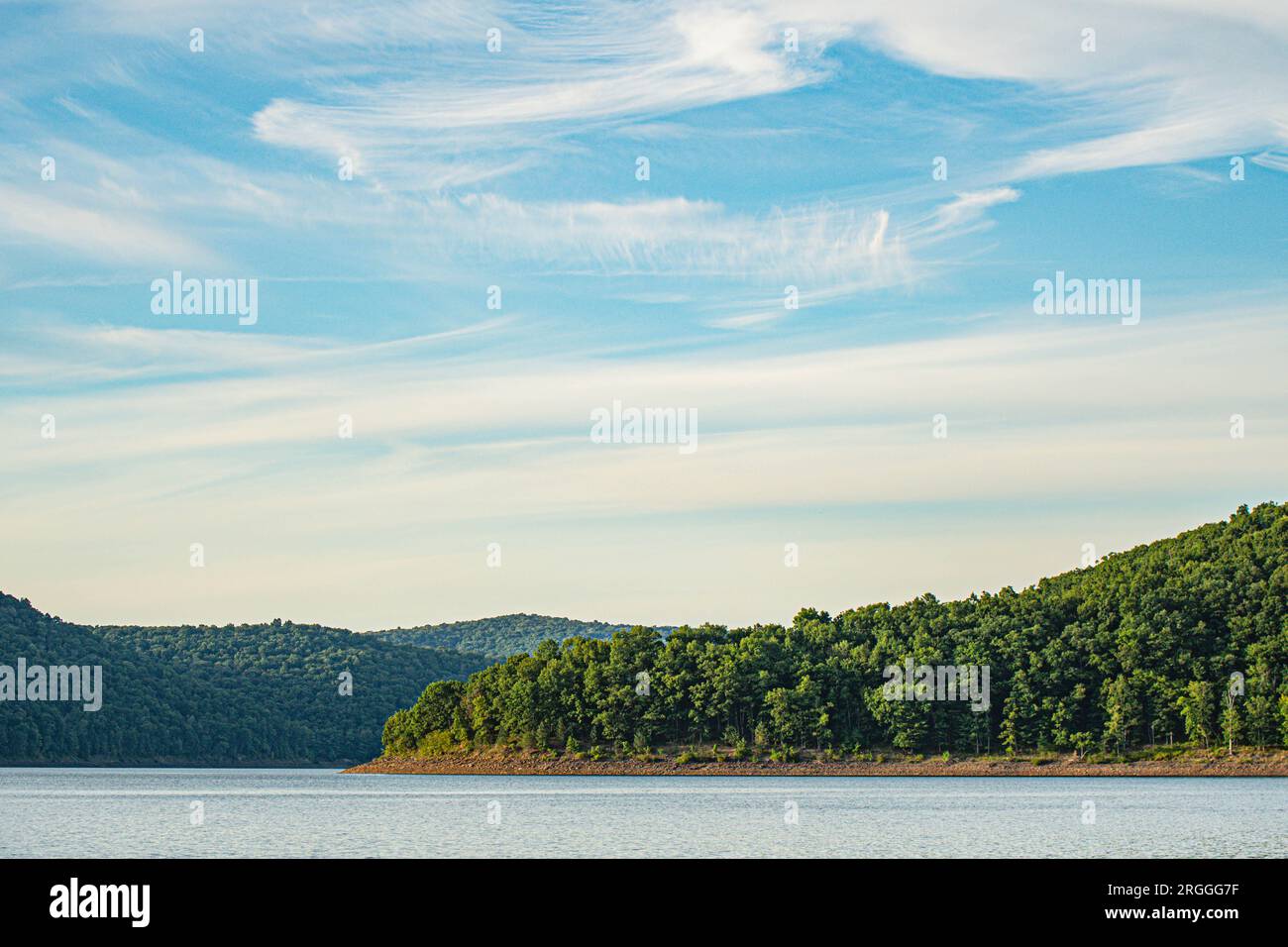 Allegheny state forest hi-res stock photography and images - Alamy