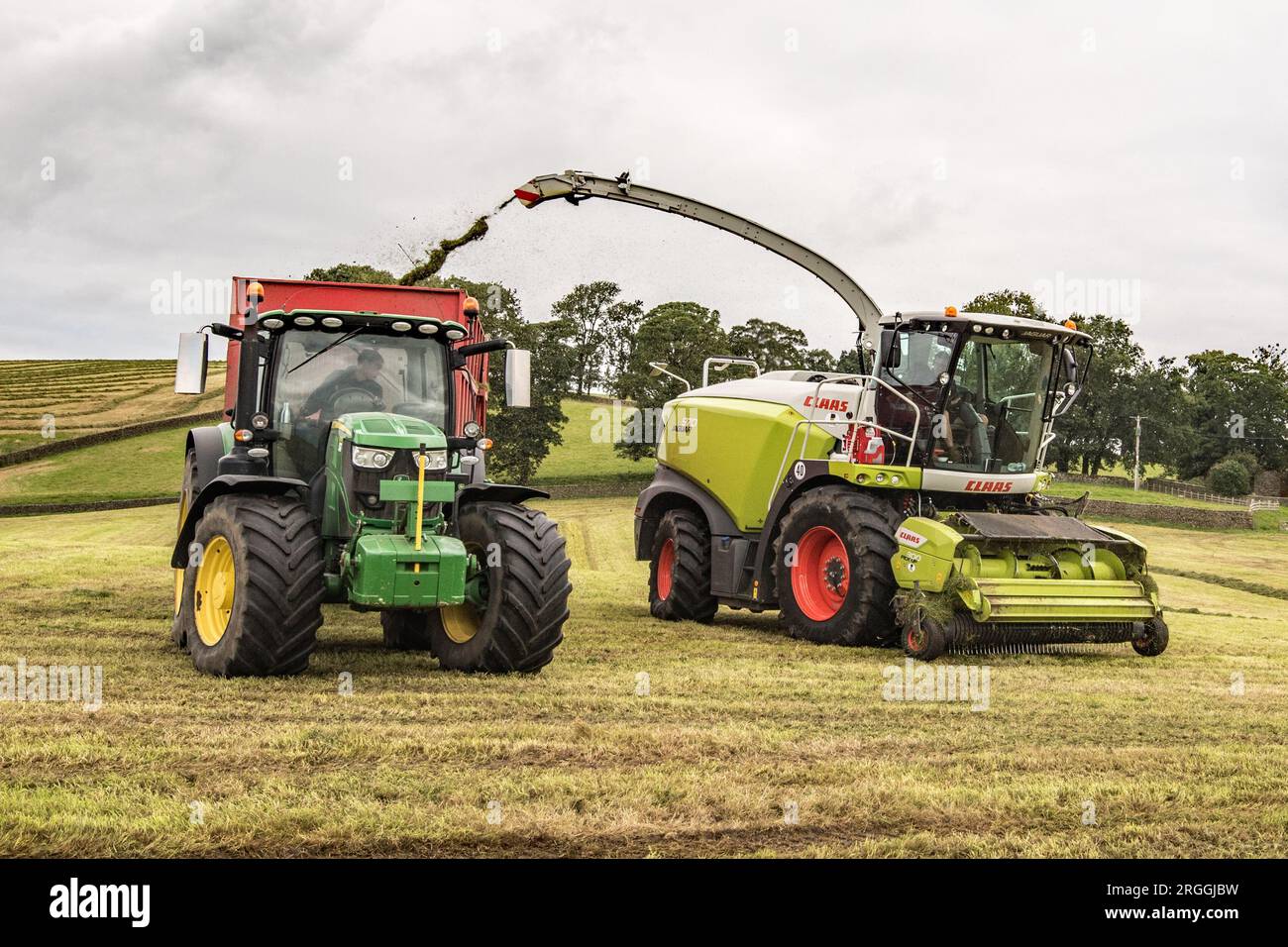 Taking advantage of a brief weather window silage making hi-res stock ...