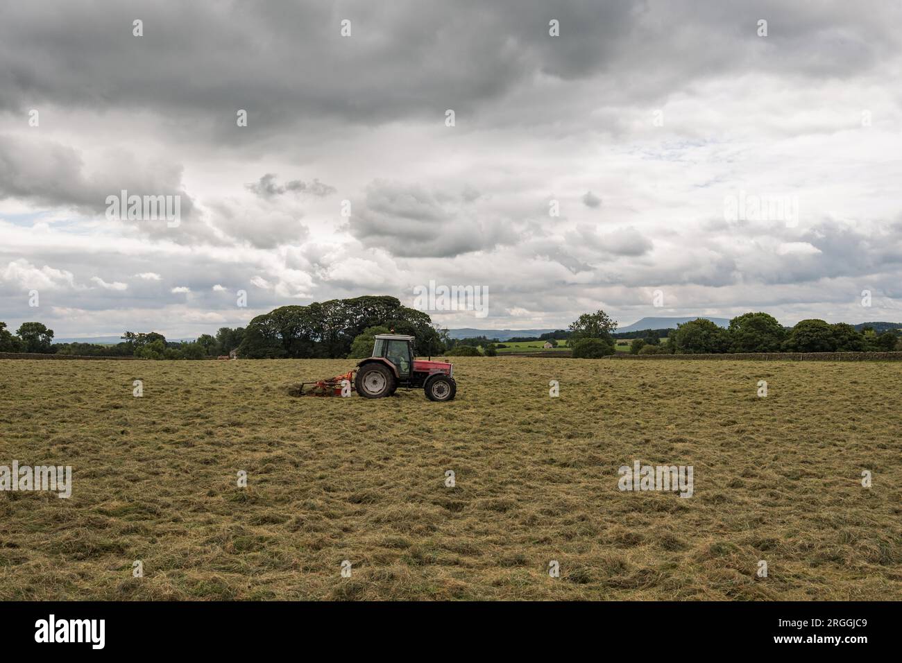 Tedding, taking place at Long Preston August 2023,is the function of ...