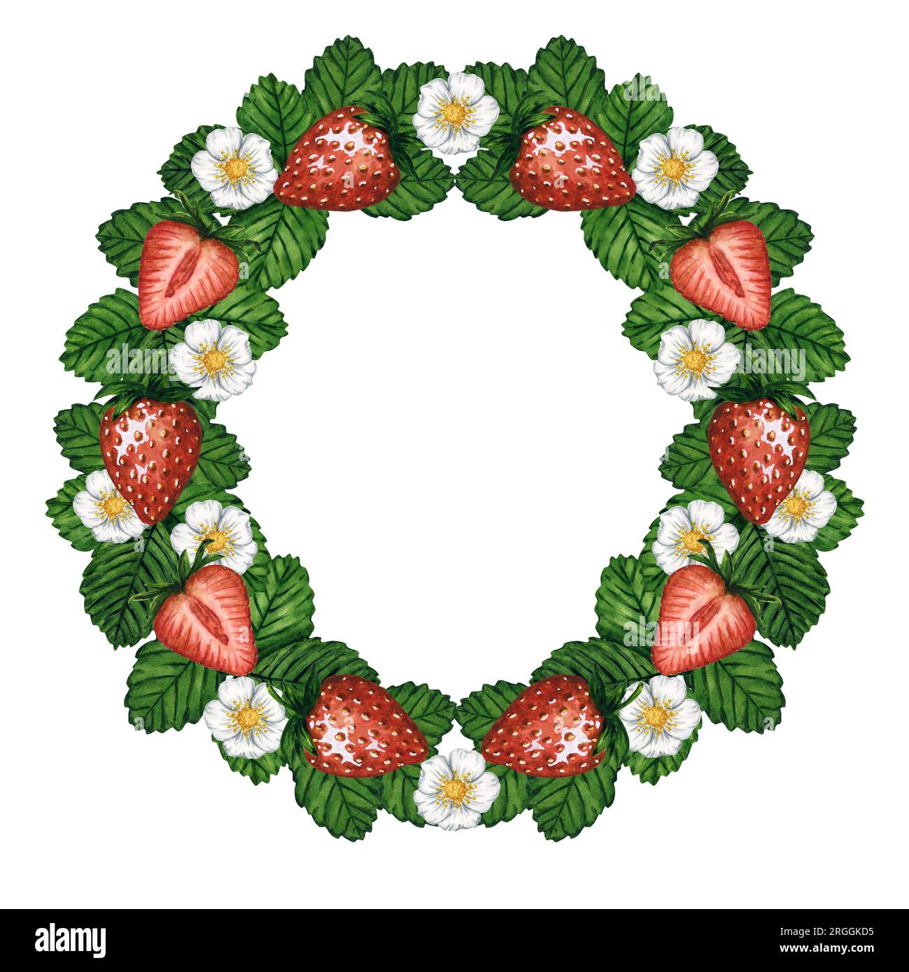 Drawing red wreath frame Cut Out Stock Images & Pictures - Alamy