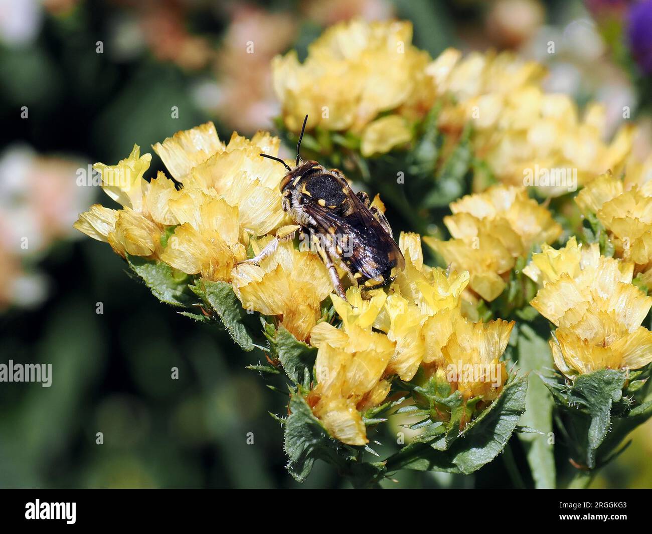 Lat 47 52097931 hi-res stock photography and images - Alamy