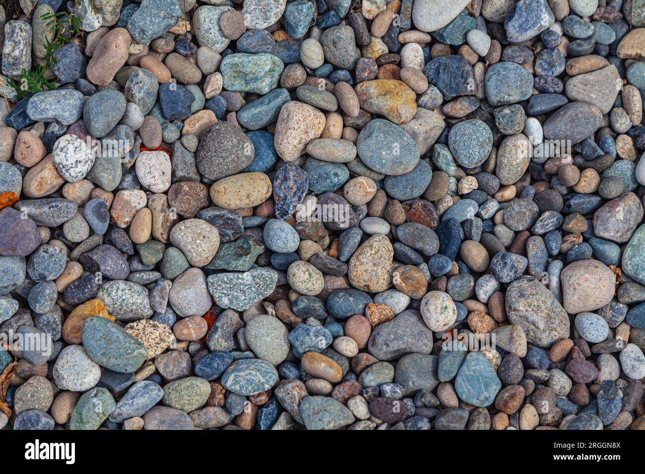Pebbles for a background hi-res stock photography and images - Alamy