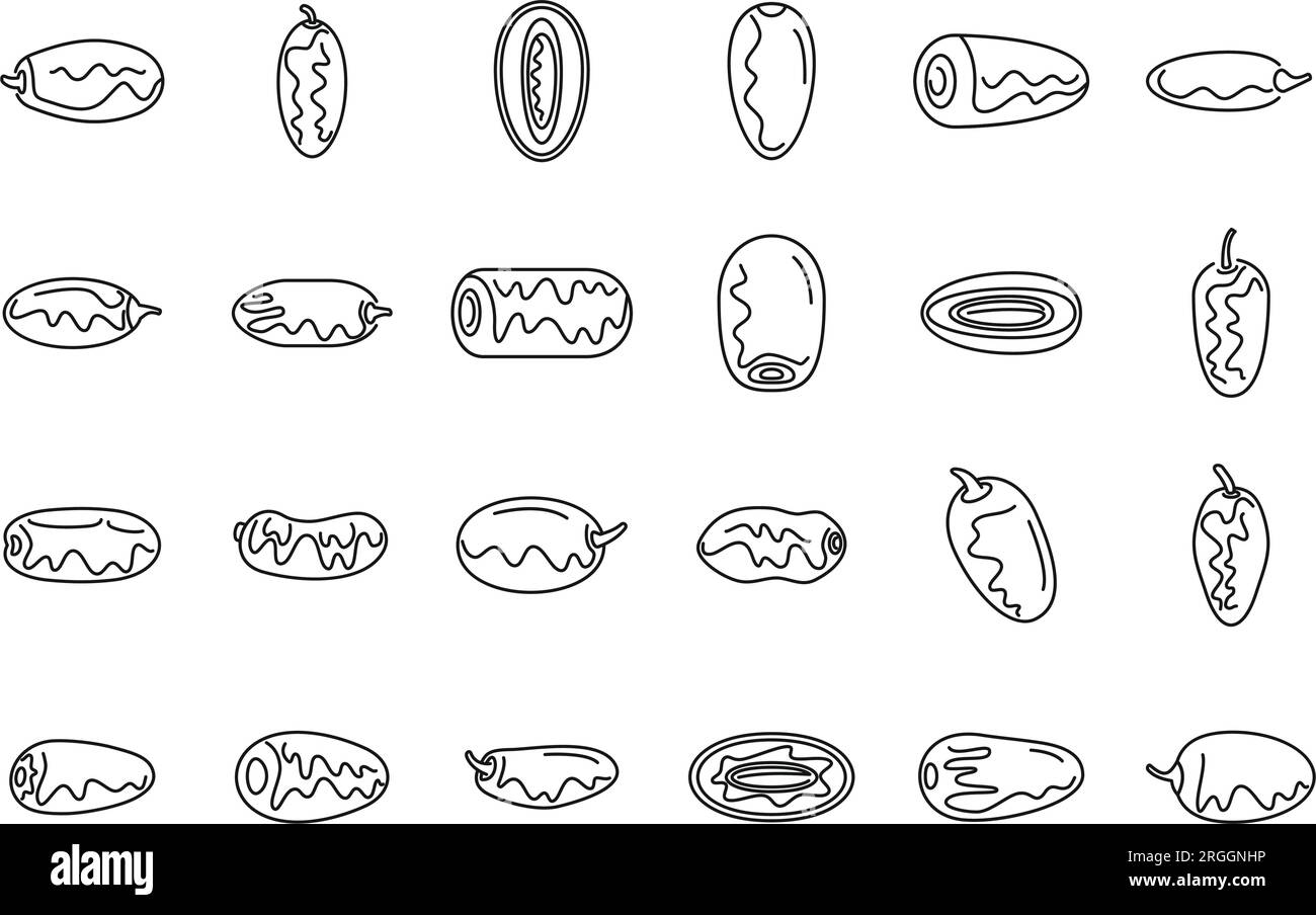 Date fruit icons set outline vector. Leaf food. Dried palm Stock Vector ...