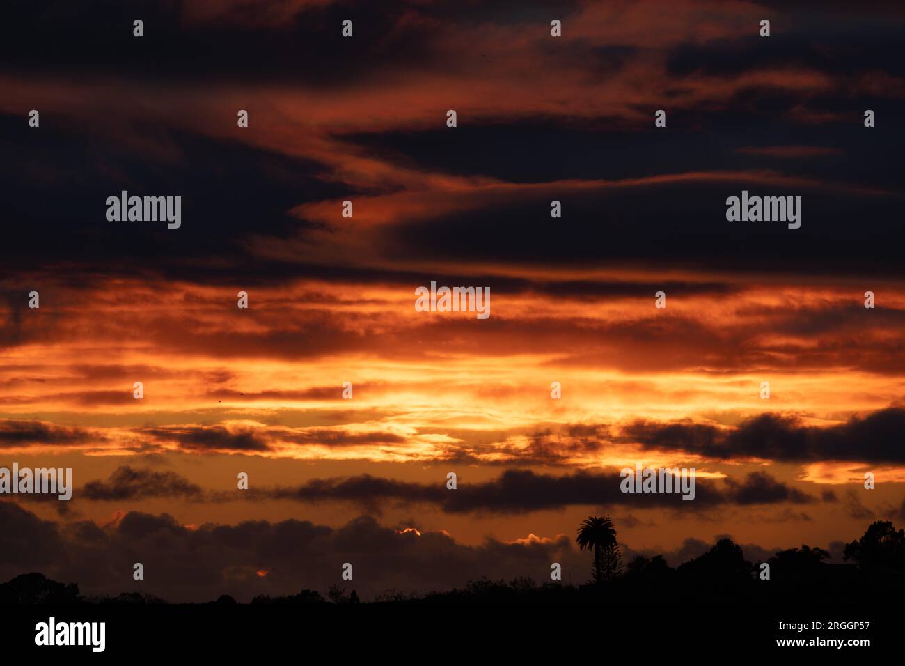 Golden hue illuminating hi-res stock photography and images - Alamy